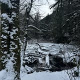 Heybrook Ridge via Leovy Trail, Washington - 1,517 Reviews, Map | AllTrails