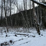 Heybrook Ridge via Leovy Trail, Washington - 1,517 Reviews, Map | AllTrails