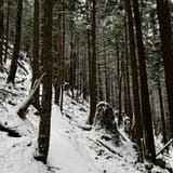 Heybrook Ridge via Leovy Trail, Washington - 1,517 Reviews, Map | AllTrails