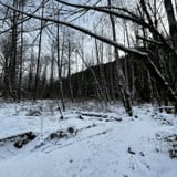 Heybrook Ridge via Leovy Trail, Washington - 1,517 Reviews, Map | AllTrails