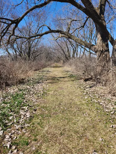 Best Hikes and Trails in Cold Springs State Park | AllTrails