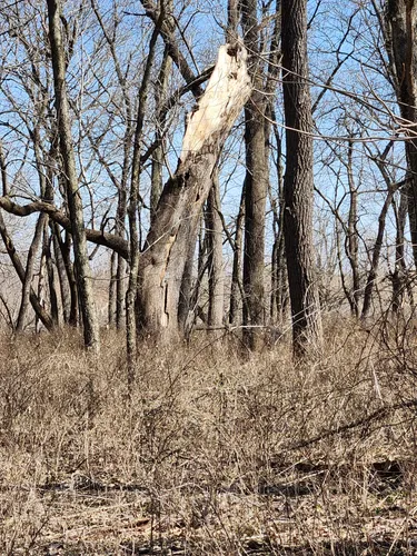 Best Hikes and Trails in Cold Springs State Park | AllTrails