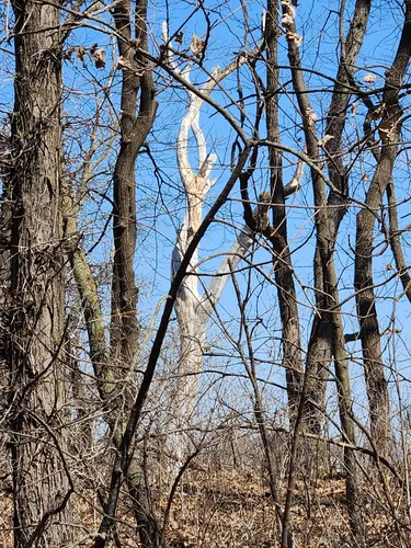 Best Hikes and Trails in Cold Springs State Park | AllTrails