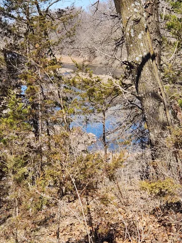 Best Hikes and Trails in Cold Springs State Park | AllTrails