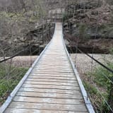 Tanyard Perimeter Loop, Arkansas - 2,602 Reviews, Map | AllTrails