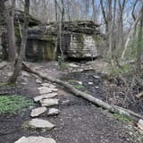 Tanyard Perimeter Loop, Arkansas - 2,602 Reviews, Map | AllTrails