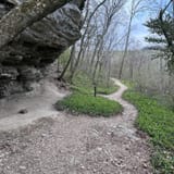 Tanyard Perimeter Loop, Arkansas - 2,620 Reviews, Map | AllTrails