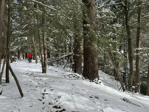 Best Hikes and Trails in Clear Springs Nature Preserve | AllTrails