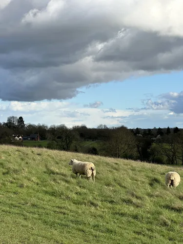 Best Easy Trails in Dedham Vale National Landscape (AONB) | AllTrails