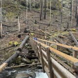 Oneonta Gorge Trail, Oregon - 733 Reviews, Map | AllTrails