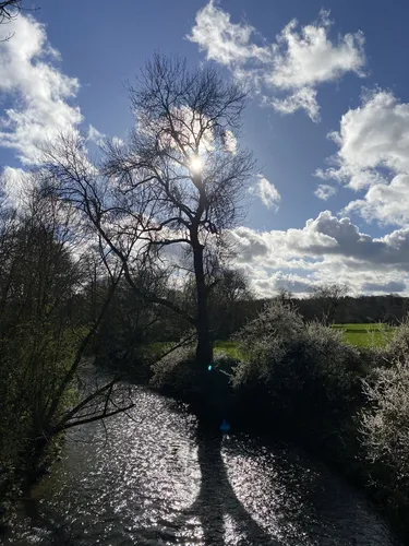Best Hikes and Trails in Ashtead Common National Nature Reserve | AllTrails