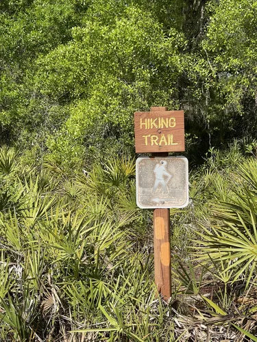 Best Views Trails in Jay B. Starkey Wilderness Park | AllTrails