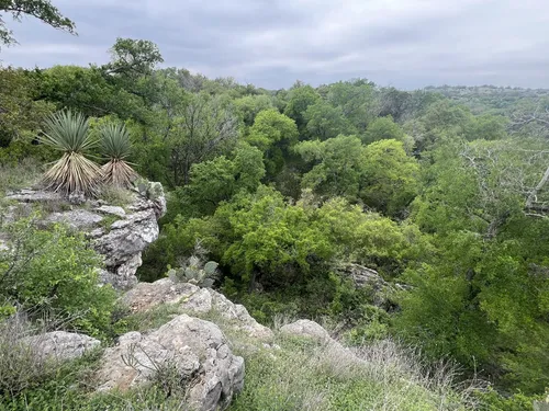 Best Trails, Walks, and Paths in Dripping Springs | AllTrails
