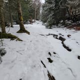 Haystack Mountain Trail, Vermont - 1,910 Reviews, Map | AllTrails