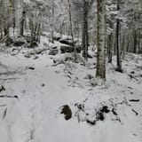 Haystack Mountain Trail, Vermont - 1,910 Reviews, Map | AllTrails