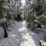 Haystack Mountain Trail, Vermont - 1,946 Reviews, Map | AllTrails