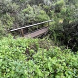 Pecho Coast Trail, California - 64 Reviews, Map | AllTrails