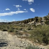Hidden Horseshoe and Pushwalla Palms Trail, California - 250 Reviews ...