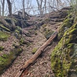 Spring Brook Trail: Rock Bridge Memorial State Park, Missouri - 252 ...