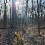 Millstone Trail, Pennsylvania - 338 Reviews, Map | AllTrails