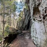 Gorge Overlook Loop via Buckeye Trail, Ohio - 2,940 Reviews, Map ...