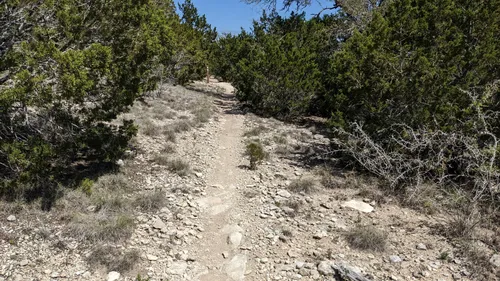 Best River Trails in Spicewood | AllTrails