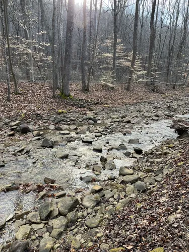 Best Hikes and Trails in Pike Lake State Park | AllTrails