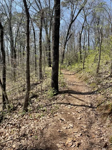 Best Hikes and Trails in Stringer's Ridge Park | AllTrails