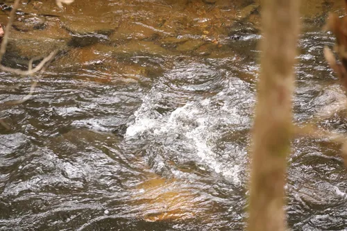 Best Hikes and Trails in Clam River Reserve | AllTrails