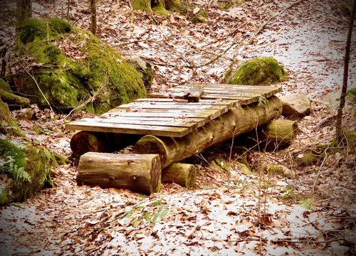 Best Hikes and Trails in Clam River Reserve | AllTrails