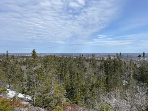 Best Hikes and Trails in Coxheath | AllTrails