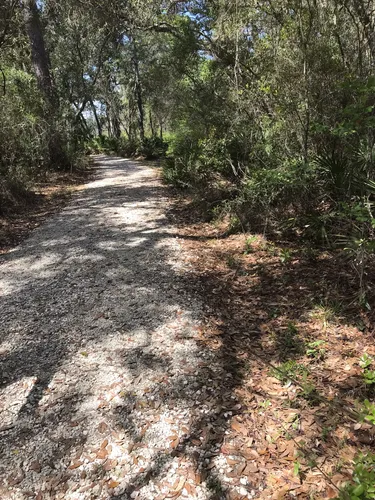 Best Wheelchair Friendly Trails in Bon Secour National Wildlife Refuge ...
