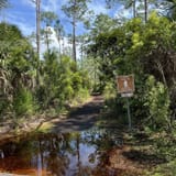 Gordon River Greenway, Florida - 927 Reviews, Map | AllTrails