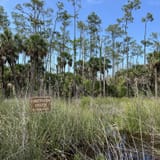 Gordon River Greenway, Florida - 927 Reviews, Map | AllTrails