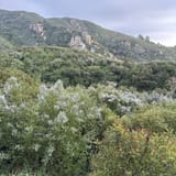 Inspiration Point, California - 3,663 Reviews, Map | AllTrails