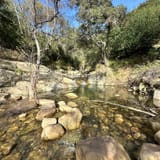 Inspiration Point, California - 3,663 Reviews, Map | AllTrails