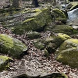 Forty Acre Rock Trail, South Carolina - 518 Reviews, Map | AllTrails