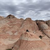 Yant Flats Trail, Utah - 1,172 Reviews, Map | AllTrails