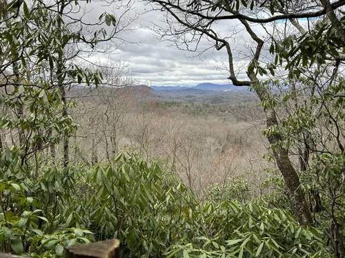 Best Hikes and Trails in Connestee Falls Hiking Trails | AllTrails