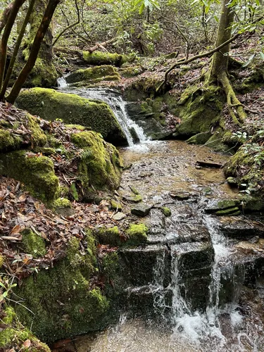 Best Hikes and Trails in Connestee Falls Hiking Trails | AllTrails