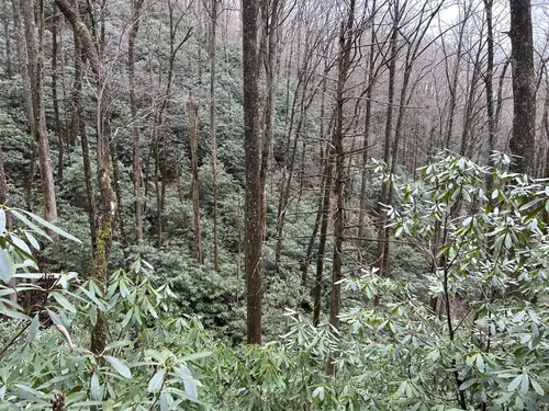 Best Hikes and Trails in Connestee Falls Hiking Trails | AllTrails