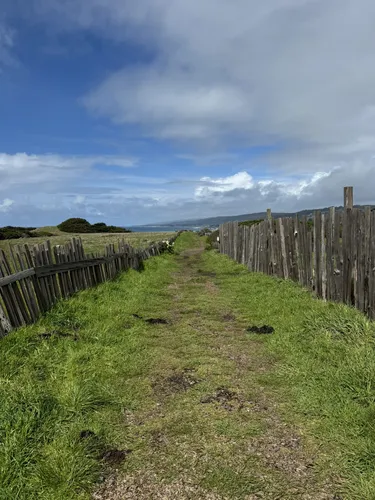 Best Hikes and Trails in Sea Ranch | AllTrails