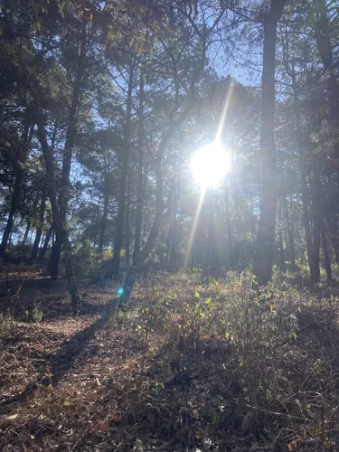 10 Best Moderate Trails in Zona de Protección Ambiental Pico Azul - La ...