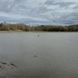 Bennington Lake Trail, Washington - 412 Reviews, Map | AllTrails