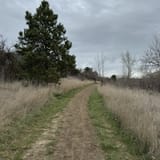 Bennington Lake Trail, Washington - 412 Reviews, Map | AllTrails