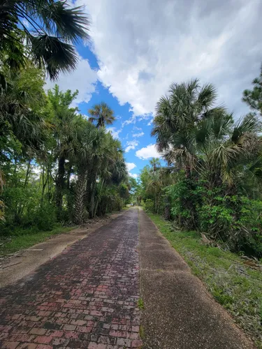 Best Hikes and Trails in Tiger Bay State Forest | AllTrails
