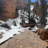 Losee Canyon Trail, Utah - 245 Reviews, Map | AllTrails