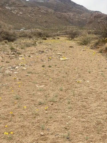 Best Hikes and Trails in Castner Range National Monument | AllTrails