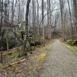 Ramsey Cascades Trail, Tennessee - 2,263 Reviews, Map | AllTrails