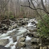 Ramsey Cascades Trail, Tennessee - 2,263 Reviews, Map | AllTrails